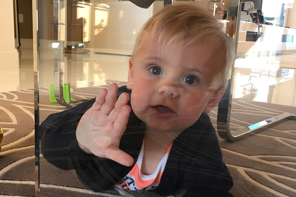 decorative-glass - Alpha Glass